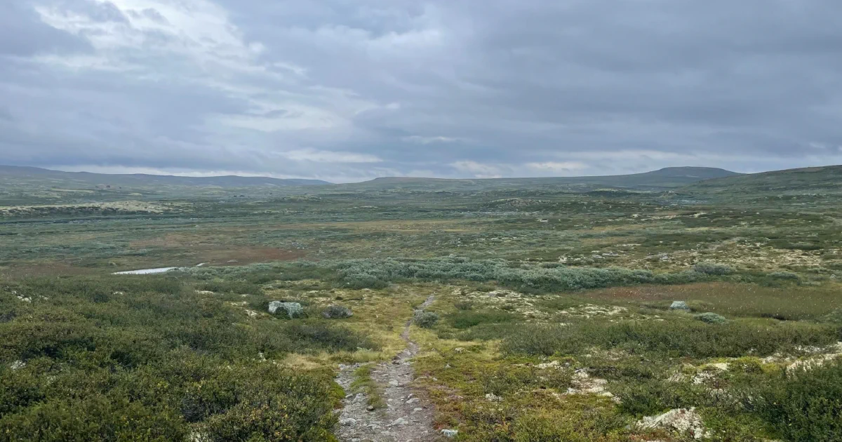 MASSIV Day 18: Dyranut to Sandhaug - 24km Hardangervidda - florus.no